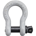 Shackles - Screw Pin | Safety Lifting